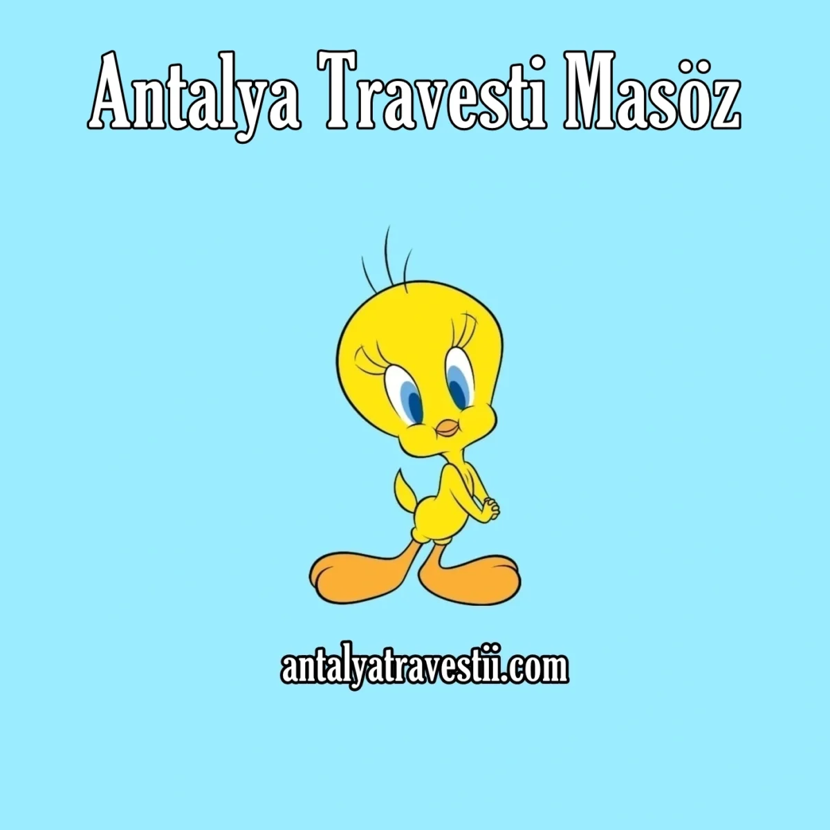 Antalya Travesti Masöz - Antalya Travesti - Gay Travestileri